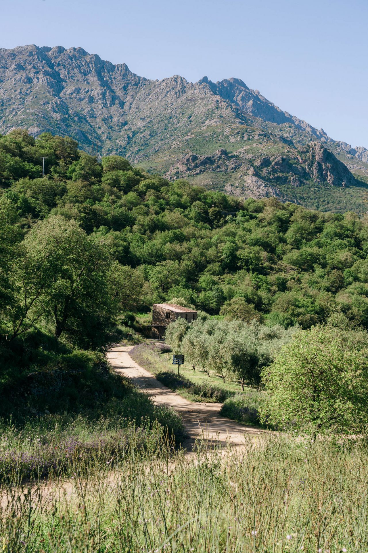 Domaine Acciola - Location de bergerie en Haute-Corse